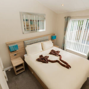 Silver Birch Plus - Lady's Mile